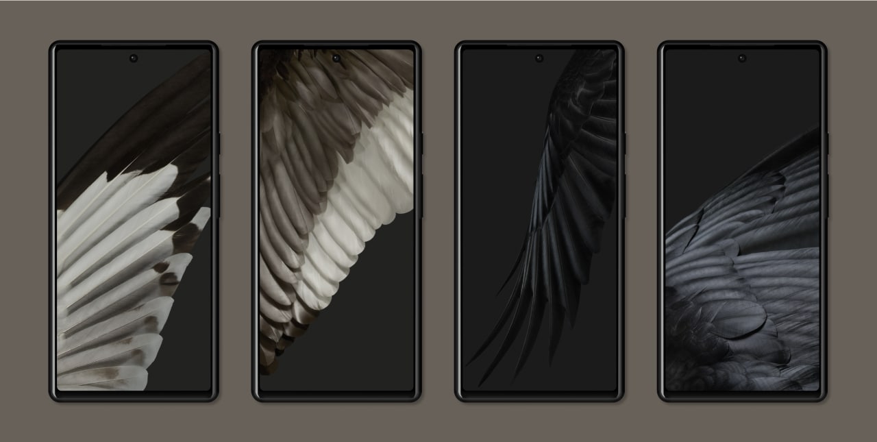 Download Google Pixel 7 Feathers Wallpapers 4K | Pixel 7 Pro Live ...